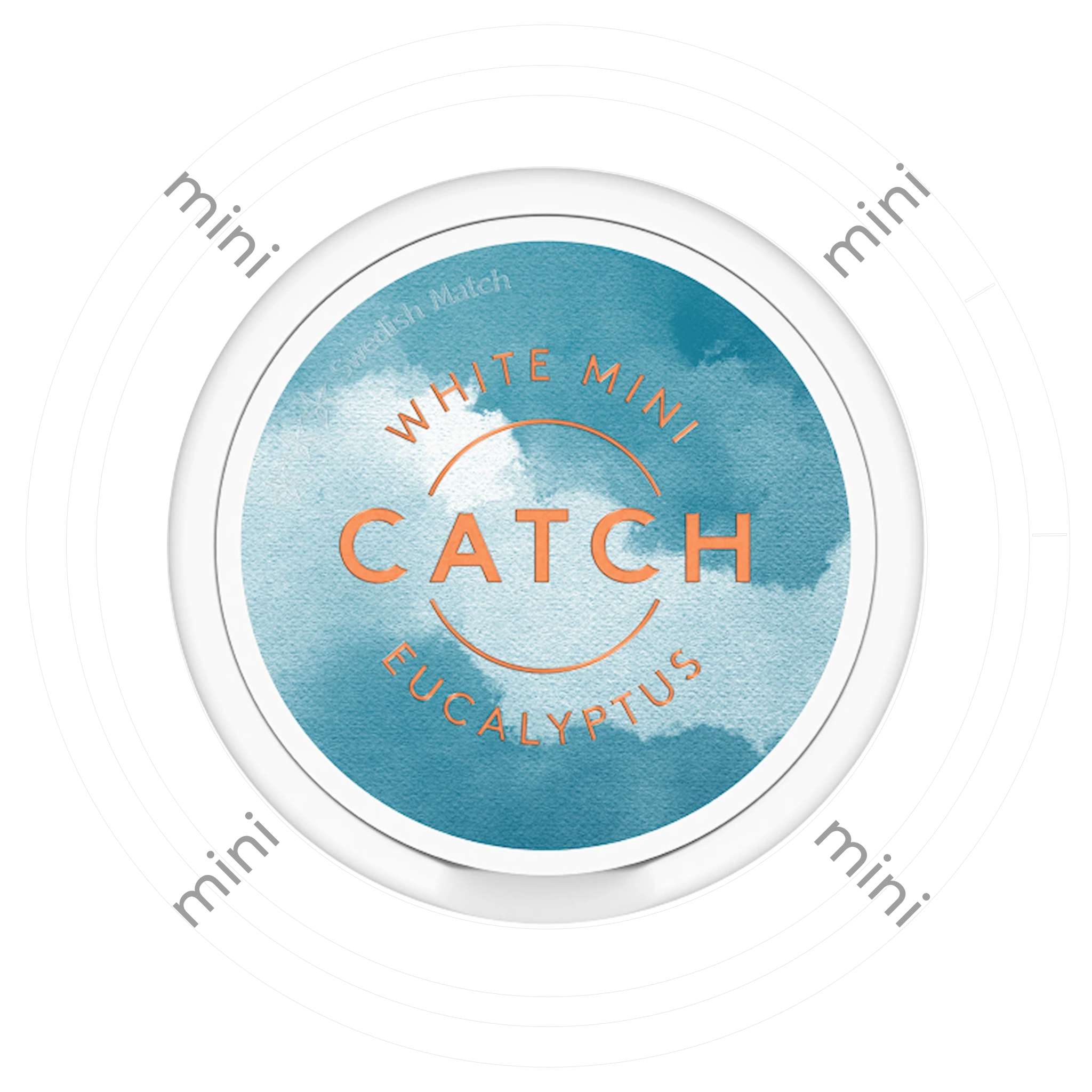 Köp Catch Dry Eucalyptus – uppdaterat minisnus 2025